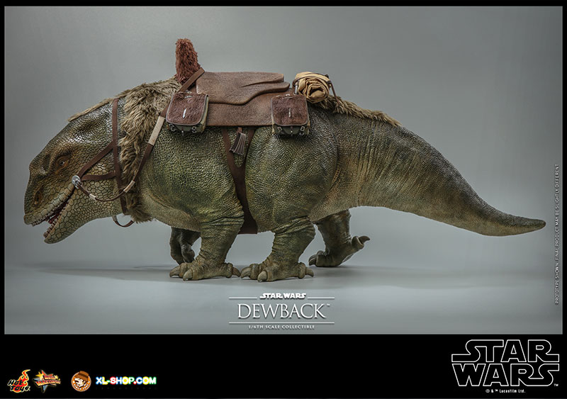 Hot Toys - MMS719 - Star Wars Episode IV : A New Hope - 1/6th scale ...