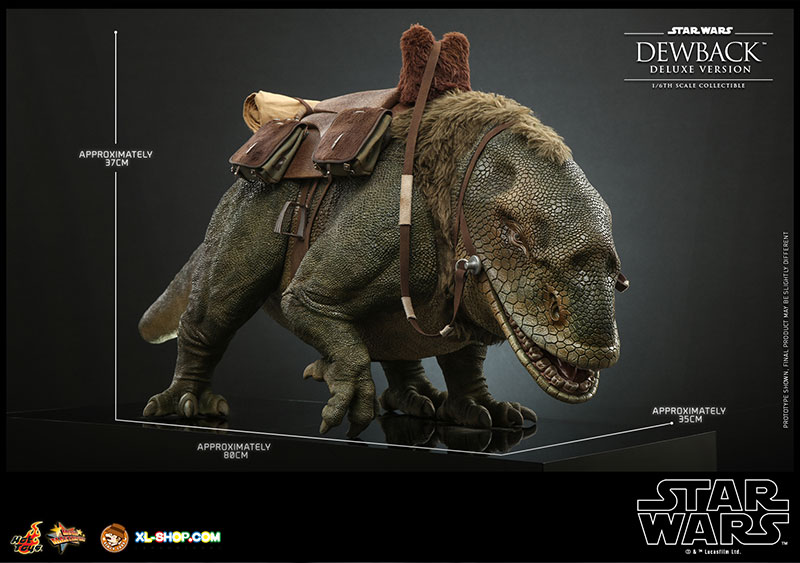 Hot Toys - MMS720 - Star Wars Episode IV : A New Hope - 1/6th scale ...