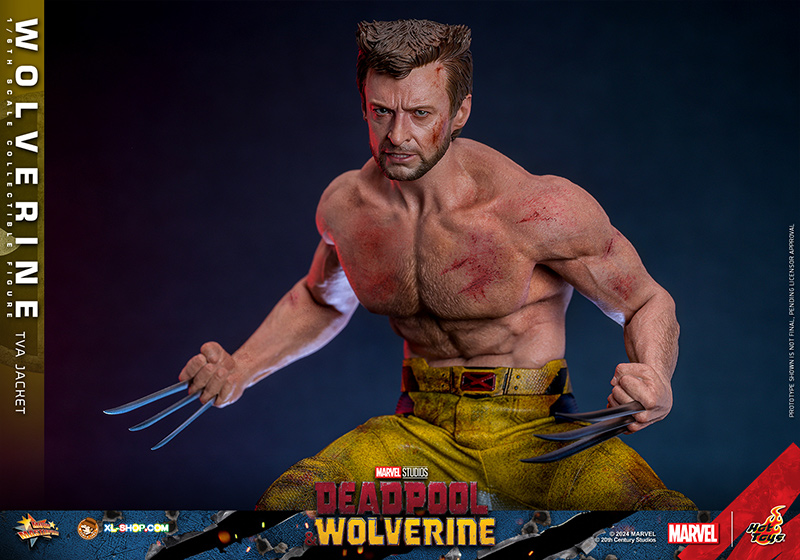 Hot Toys - MMS756 - Deadpool & Wolverine - 1/6th scale Wolverine (TVA ...
