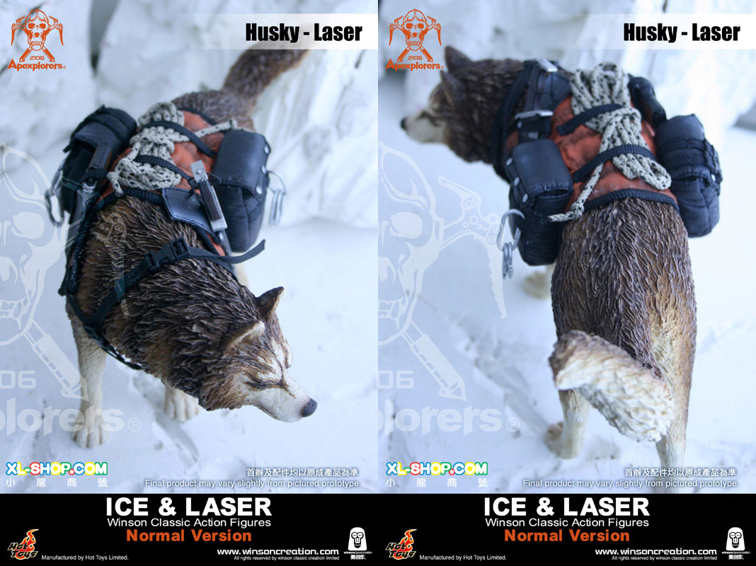 Hot Toys - Ice & Laser Winson Classic Action Figure (Normal Version)