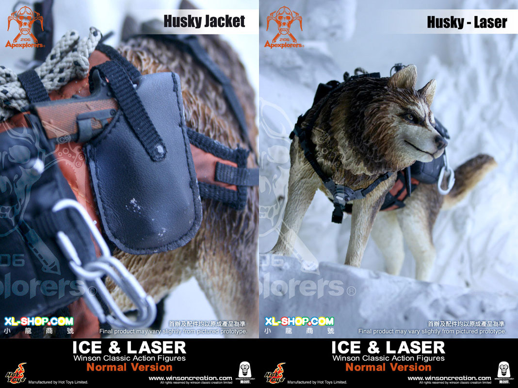 Hot Toys - Ice & Laser Winson Classic Action Figure (Normal Version)