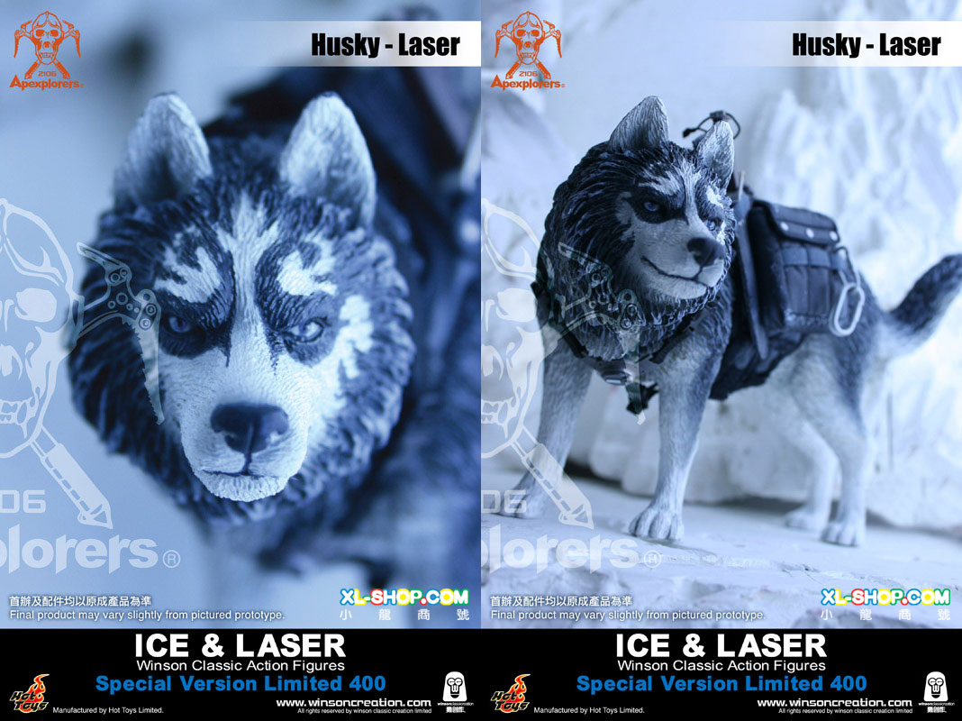 Hot Toys - Ice & Laser Winson Classic Action Figure (Special Version)