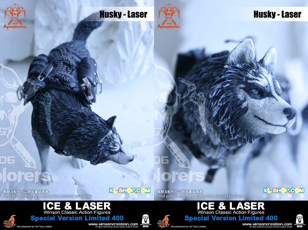 Hot Toys - Ice & Laser Winson Classic Action Figure (Special Version)