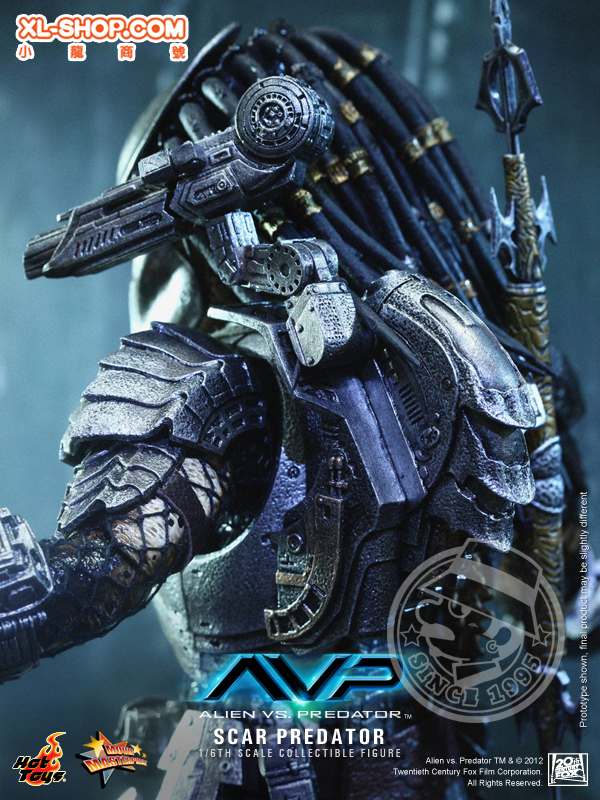 Hot Toys - MMS 190 - Alien vs. Predator: 1/6th scale Scar Predator ...