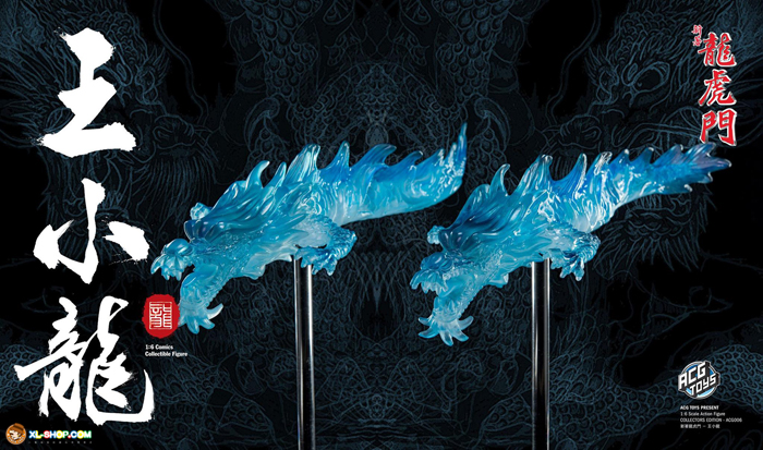 ACG Toys - ATF006 - Dragon Tiger Gate - 1/6 Dragon Wong Action Figure