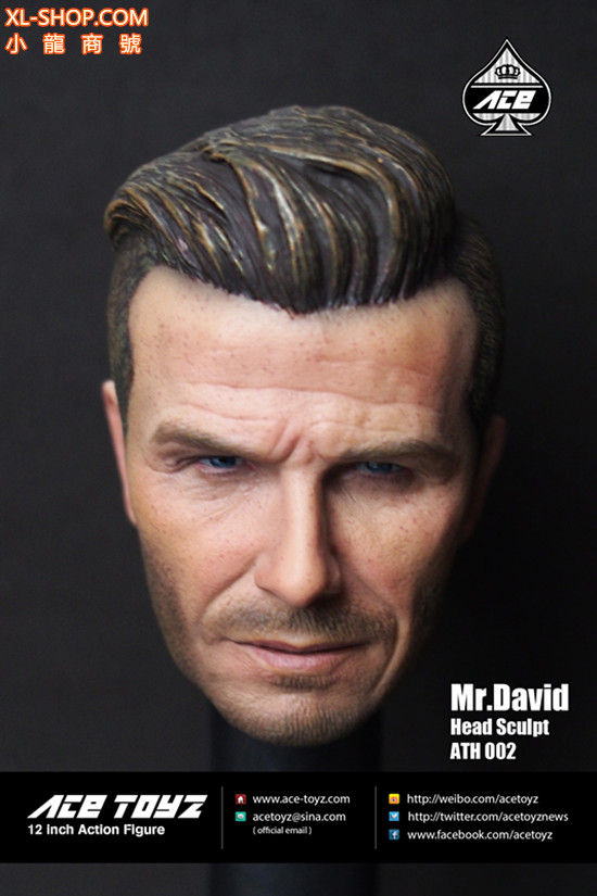 Ace Toyz - ATH-002 - 1/6 Mr.David Head Sculpt