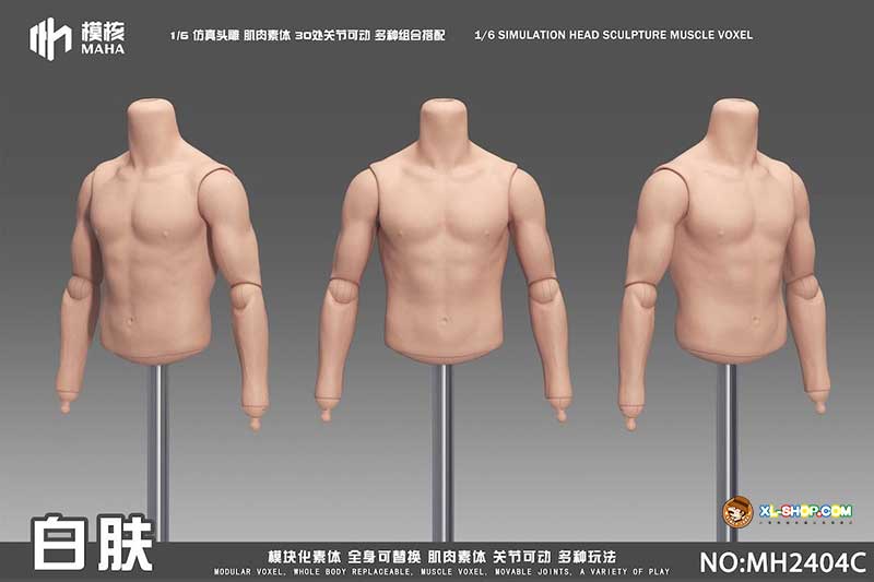 MAHA studio - MH2404 - 1/6 muscle half body model (Ship Q3,2024)