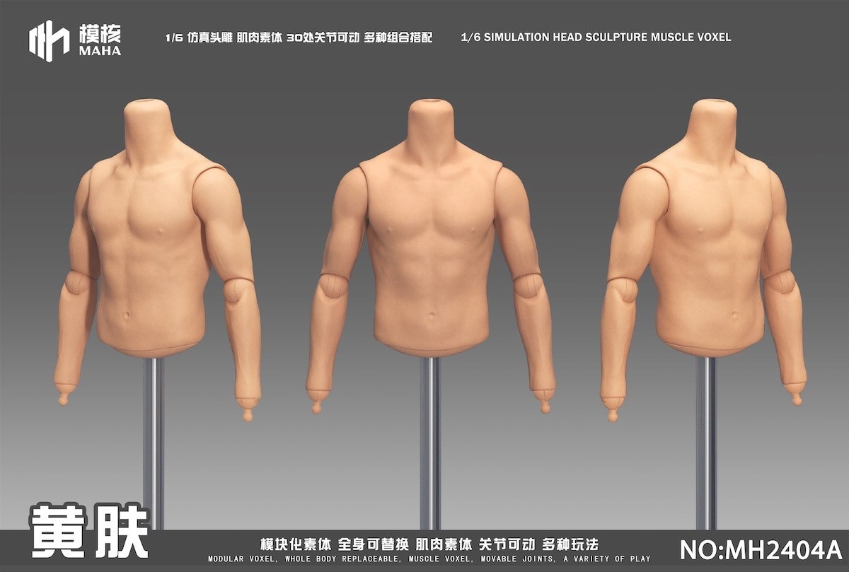 MAHA studio - MH2404 - 1/6 muscle half body model (Ship Q3,2024)