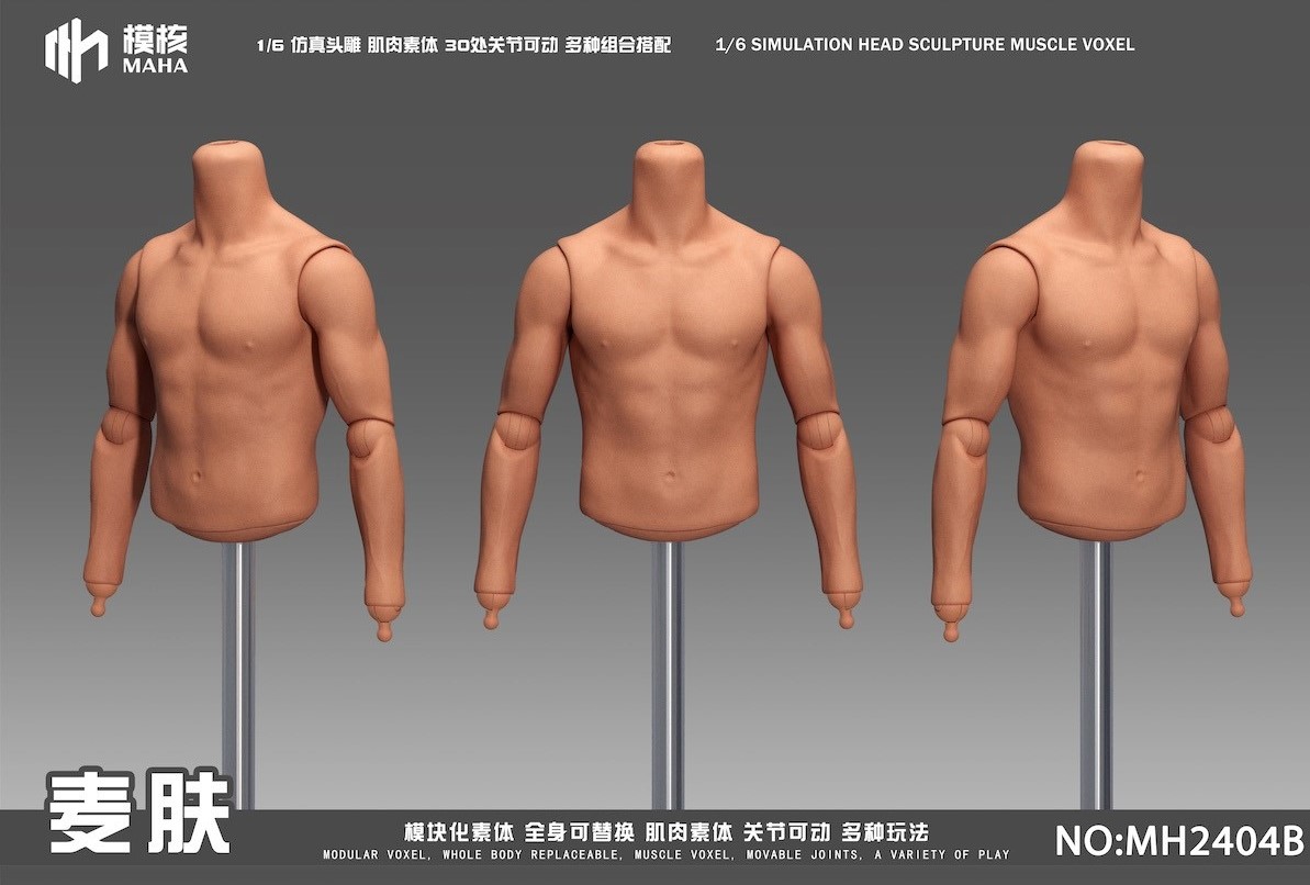 MAHA studio - MH2404 - 1/6 muscle half body model (Ship Q3,2024)