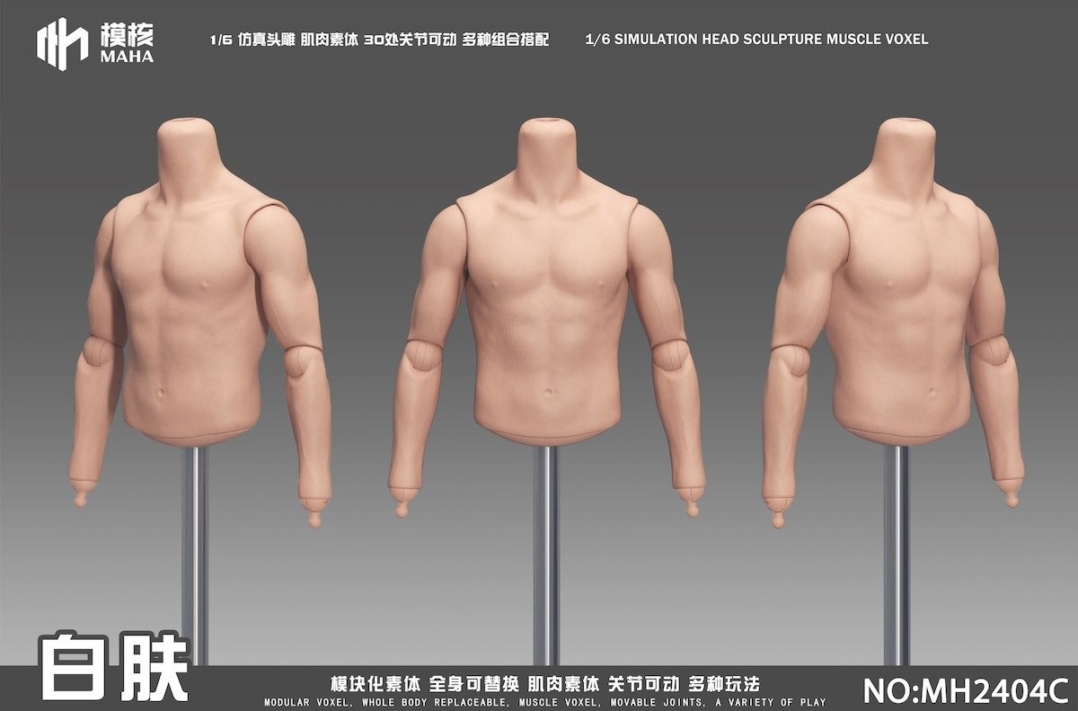 MAHA studio - MH2404 - 1/6 muscle half body model (Ship Q3,2024)