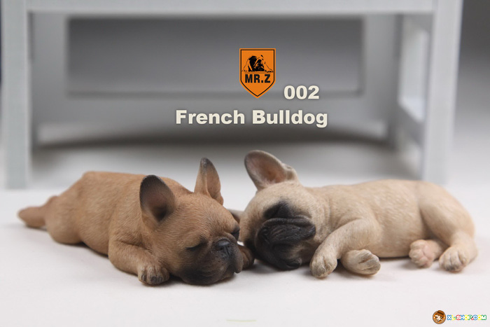 Mr.Z - Real Animal Series No.9 - 1/6th scale French Bulldog (Sleep Mode ...