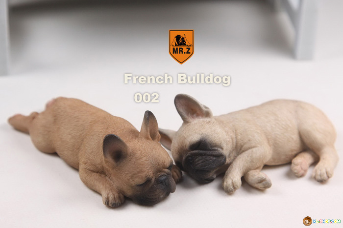 Mr.Z - Real Animal Series No.9 - 1/6th scale French Bulldog (Sleep Mode ...