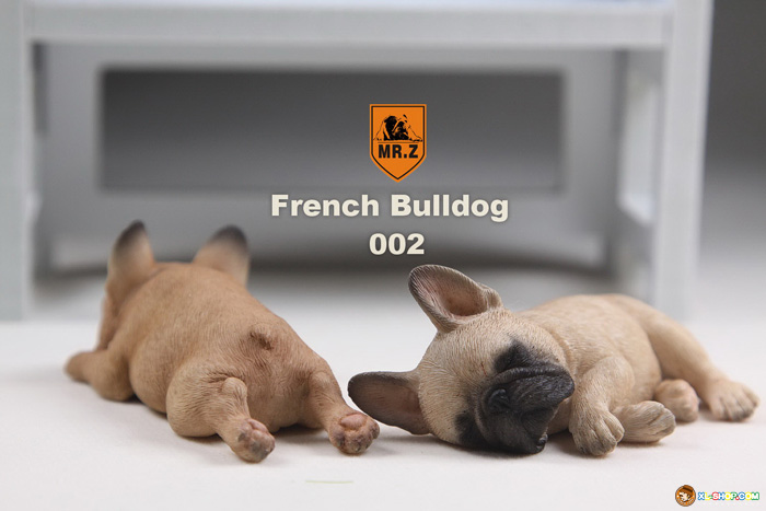 Mr.Z - Real Animal Series No.9 - 1/6th scale French Bulldog (Sleep Mode ...