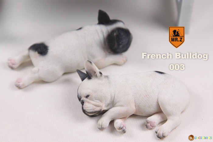 Mr.Z - Real Animal Series No.9 - 1/6th scale French Bulldog (Sleep Mode ...