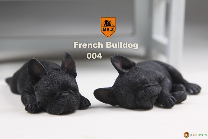 Mr.Z - Real Animal Series No.9 - 1/6th scale French Bulldog (Sleep Mode ...