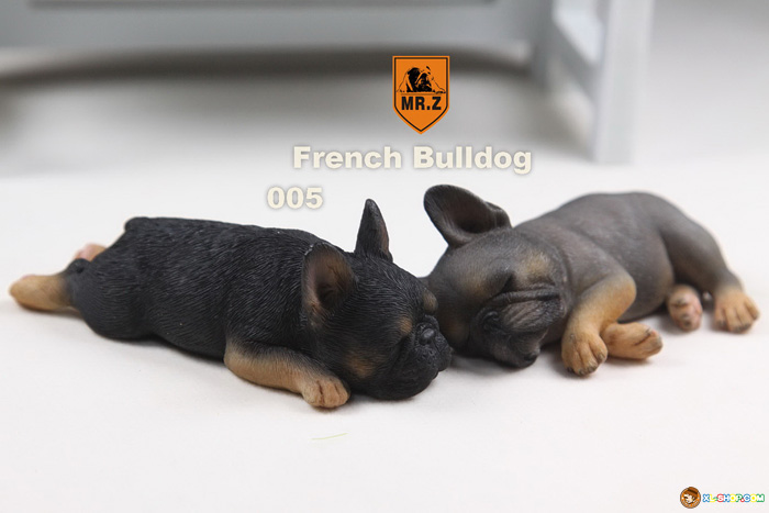 Mr.Z - Real Animal Series No.9 - 1/6th scale French Bulldog (Sleep Mode ...