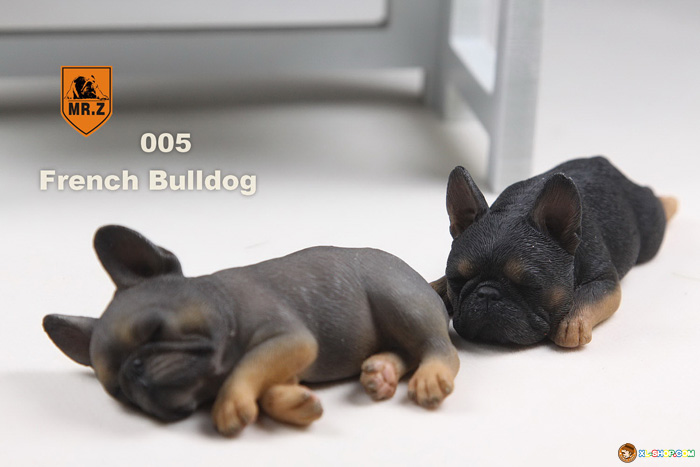 Mr.Z - Real Animal Series No.9 - 1/6th scale French Bulldog (Sleep Mode ...